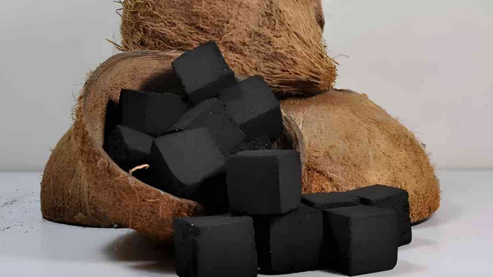 Briket Sabut Kelapa sebagai Solusi Energi Ramah Lingkungan